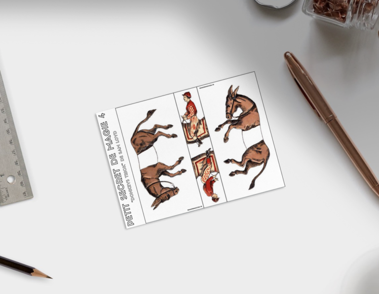 trick mules Sam Loyd magie magicien anniversaire paris idf Charenton ...